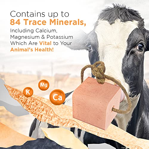 UMAID Compressed Pink Himalayan Salt Lick, [2 Pack] – 5.5 Lb. 100% Natural Himalayan Salt Block with Hanging Rope Helps Replace Lost Electrolytes for Deer, Horse, Cow, Goat, Pigs, Wild Animals & Pets