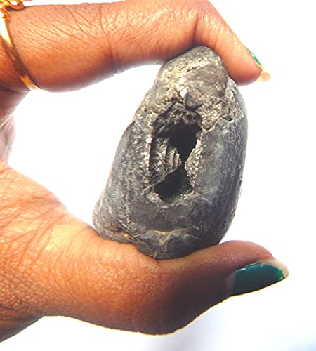 XUETZALCOATL Adwaitya Narsimha Maha Vishnu Shaligram Nepal Kali Gandaki