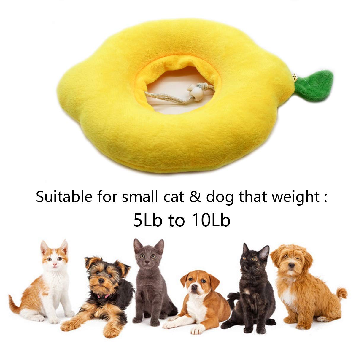 Vehomy Pet Cat Recovery Collar Cat Soft Lemon Neck Cone Adjustable Pet E Collar After Surgery, Wound Healing Protective Cat Elizabethan Collar for Kitten & Puppy