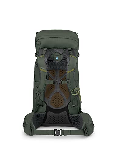 Osprey Kestrel 38L Men's Backpacking Backpack, Bonsai Green, S/M