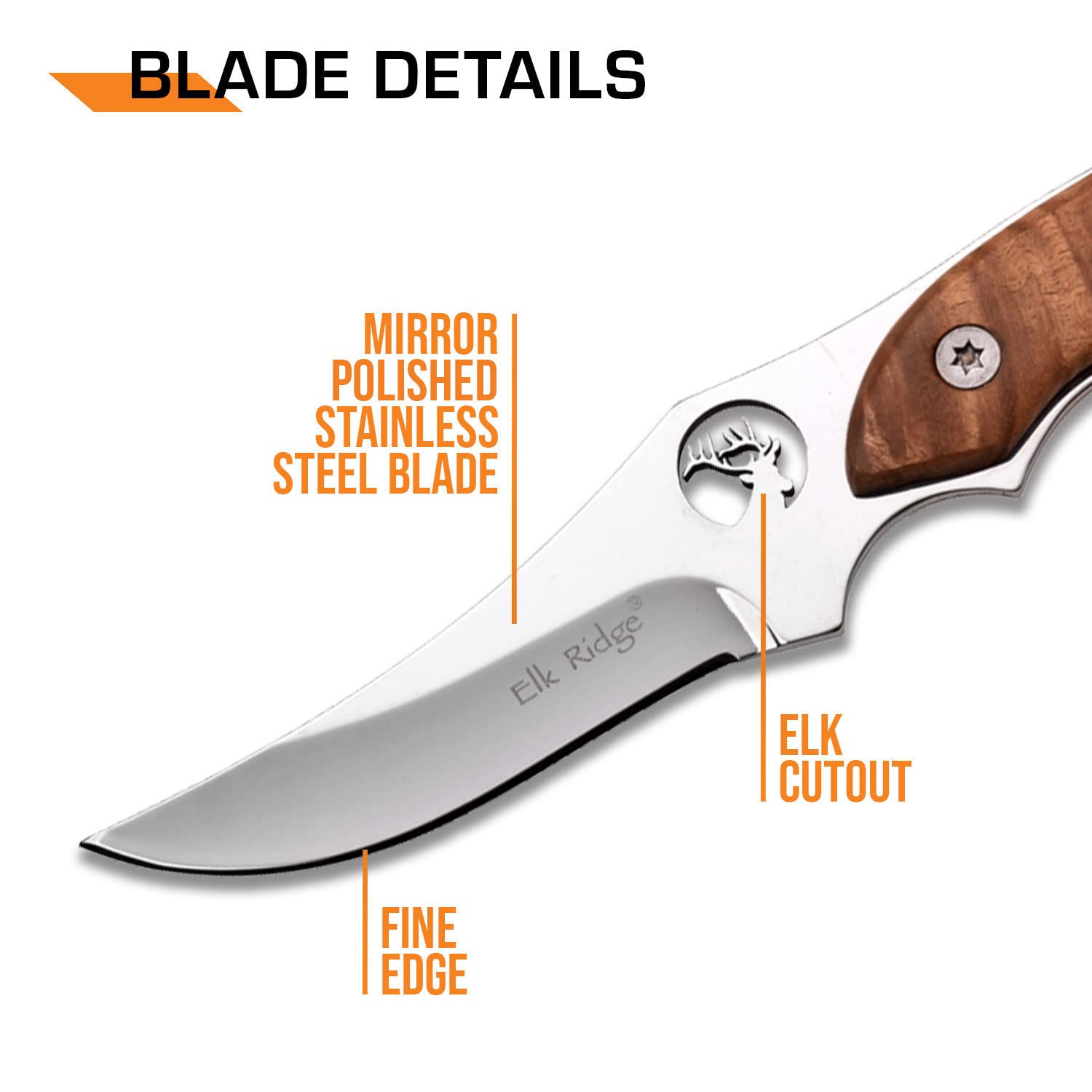 Elk Ridge - Outdoors Fixed Blade Knife - 7-in Overall, 3-in Mirror Finished Stainless Steel Blade, Burl Wood Handle, 1680D Nylon Sheath - Hunting, Camping, Survival - ER-538