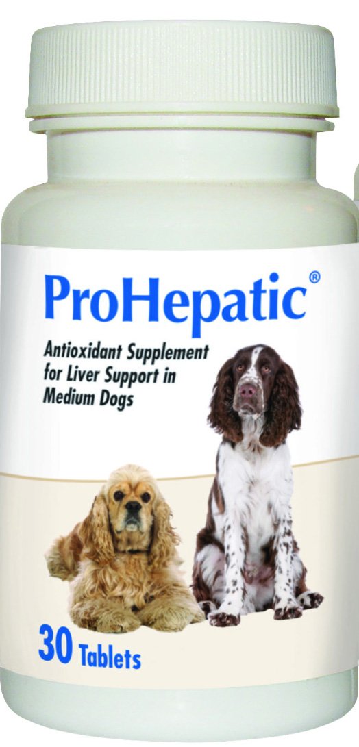 Prohepatic Liver Support Supplement for Medium Large Dogs (30 Tablets)
