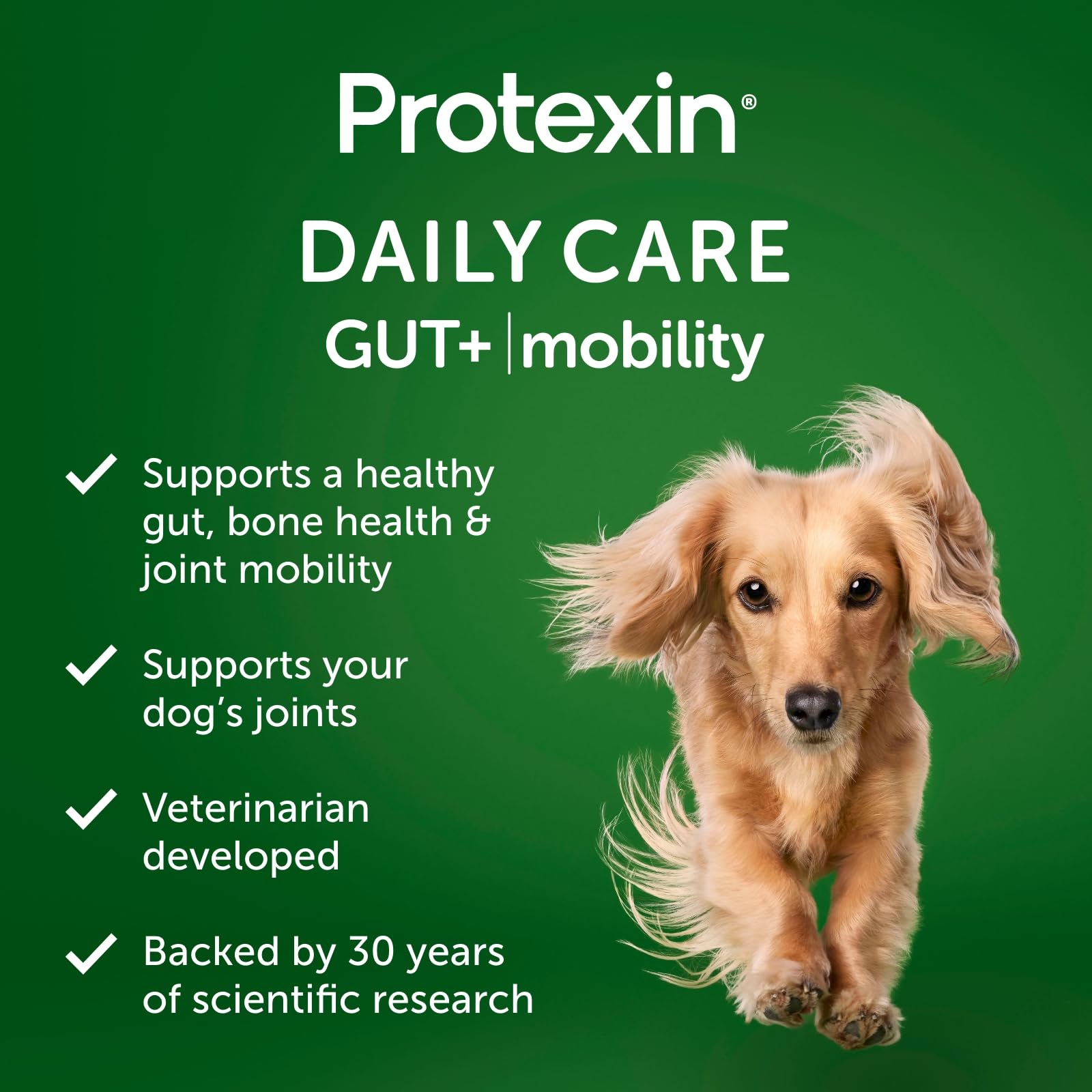 Protexin Daily Care Gut+ Mobility, 60 postbiotic Dog Supplement Chews โ Chicken and Bacon Flavored