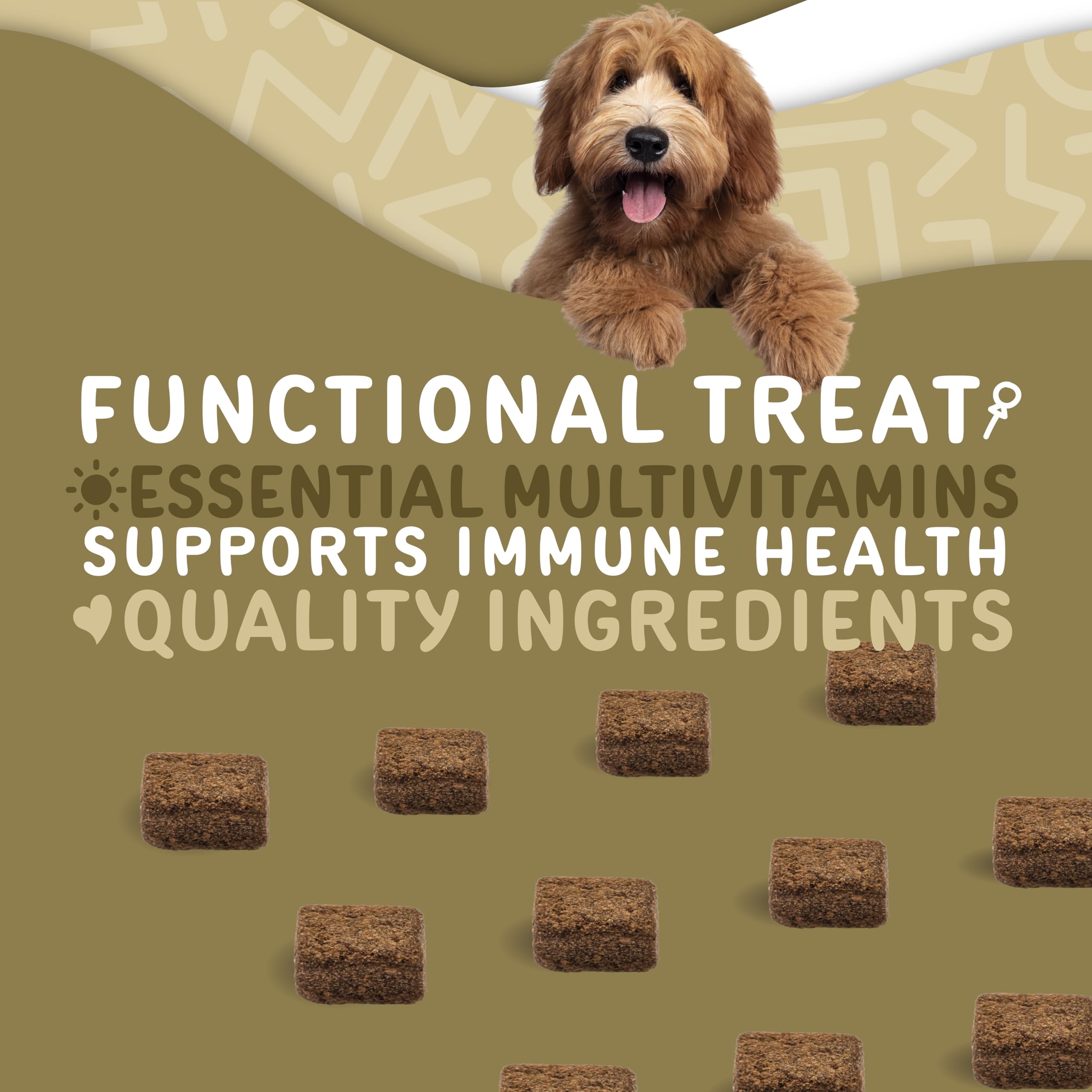 waggedy Daily Essentials Adult Soft Chews — Dog Multivitamin & Immune System Supporter — Dog Nutritional Supplement — Small/Large Dog Supplements & Vitamins (60 Chews)