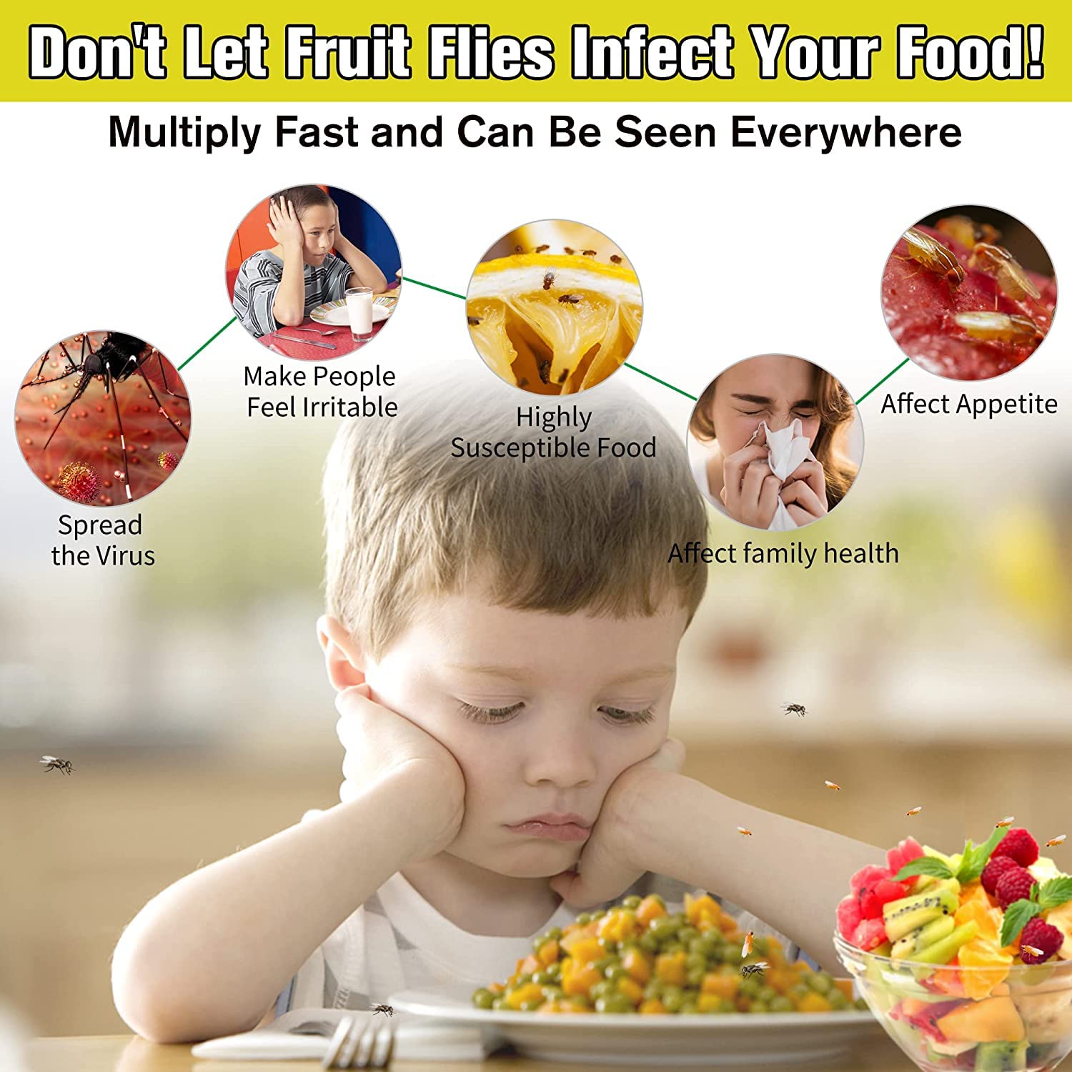 Fruit Fly Trap with Sticker, 2023 Upgrade Effective Fly Catcher Gnat Traps for House Indoor, Safe Non-Toxic Reusable Fruit Fly Gnat Killer with Fruit Fly Attractant for Home, Plant, Kitchen (2 Pack)