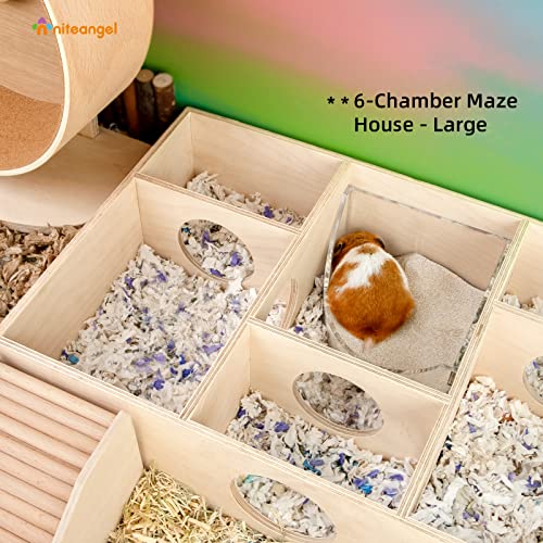 Niteangel Small Animal Sand-Bath Box - Acrylic Critter's Sand Bath Shower Room & Digging Sand Container for Hamsters Mice Lemming Gerbils or Other Small Pets (Fan-Shaped, Transparent)