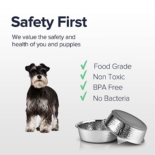 URBUDDIES 2 Pack Hammered Stainless Steel Dog Bowls, 4 Cup, Gray Bottom