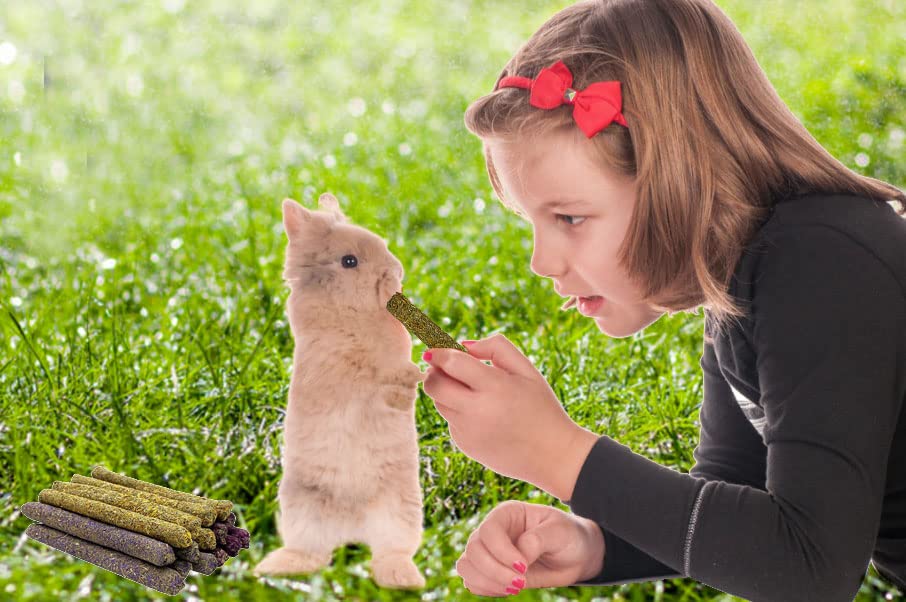 Natural Timothy Rabbit Hay Sticks 15PCS Flowers Flavored Bunny Chew Toys Handmade Hamster Timothy Molar Rod Teeth Treats for Rabbit Hamster Chinchilla Guinea Pig Gerbil