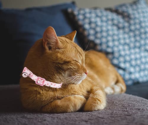 YUDOTE Breakaway Cat Collar with Bell, 2 Pack of Adjustable Floral Cat Collars Cute Safety Purple Pink Kitty Strawberry Collar
