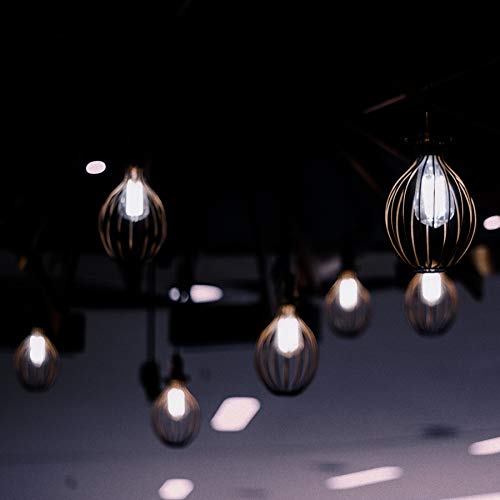 Feit Electric Vintage Exposed Filament Smoke Glass LED ST19 with a Medium E26 Base Light Bulb - 25W Equivalent - 10 Year Life - 200 Lumen - 5000K Dayllight - Dimmable | Original Vintage