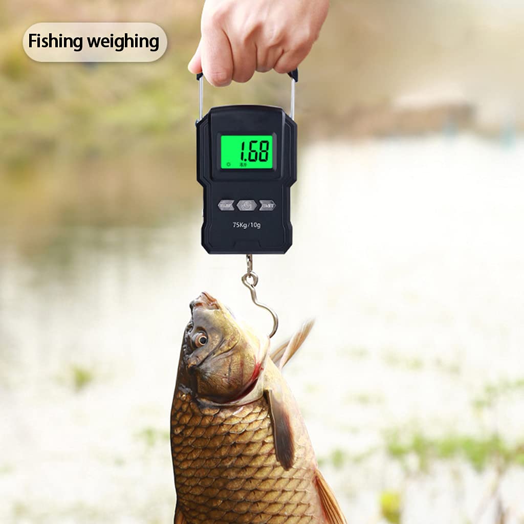 Fish Scales Digital Weight, Backlit LCD Display 165lb/75kg Fishing Scale Measuring Tools Electronic Balance Digital Fishing Postal Hanging Hook Scale