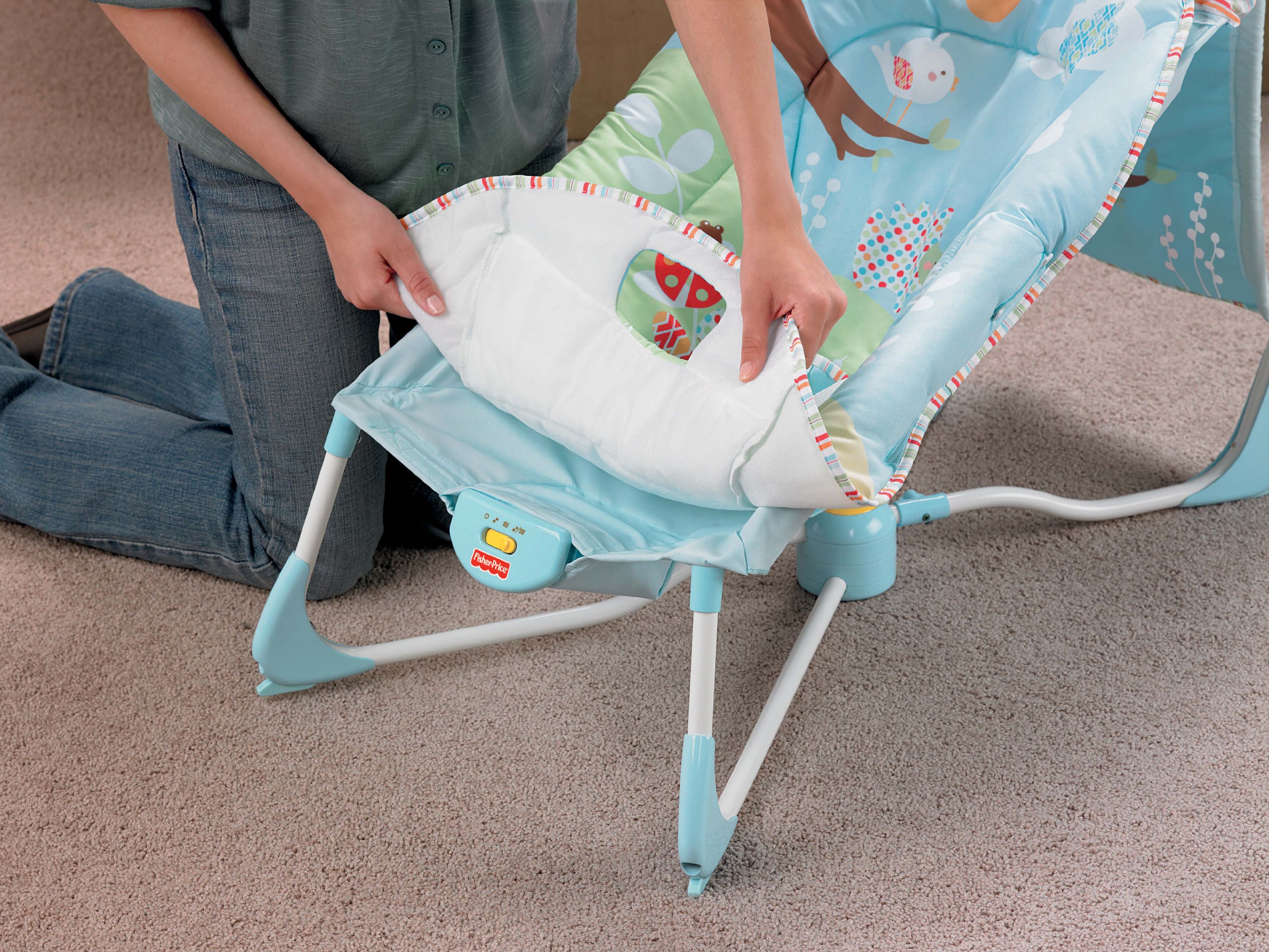 Fisher-Price Soothe & Go Bouncy Seat