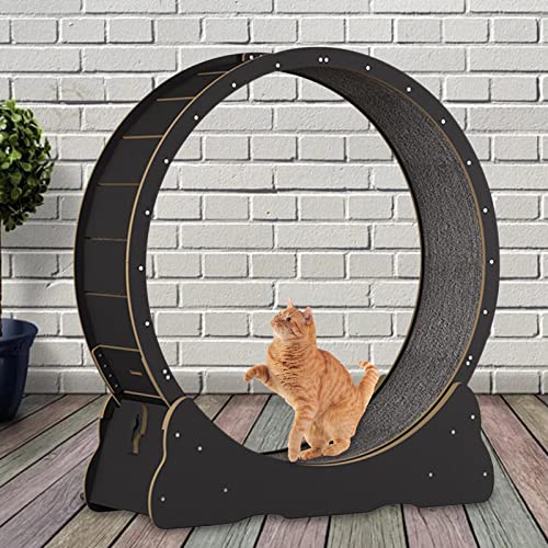 Pet Cat Running Wheel Treadmill Sport Climbing Frame Mute with Carpeted Runway Indoor Toys Exercise Wheel for Fitness Workout, Black, L