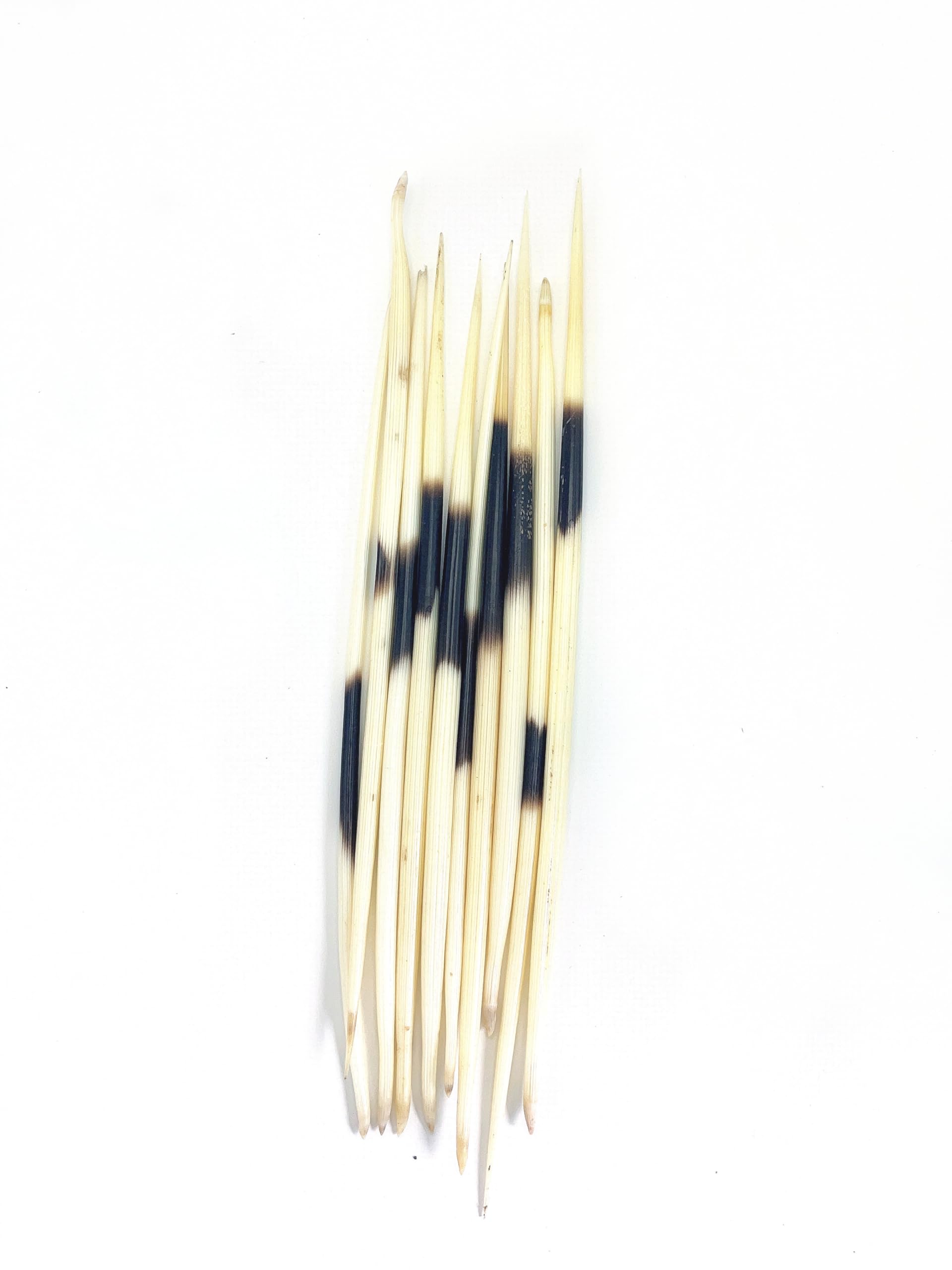 Porcupine quills Hair Stick Indian Crafts Accessories Fishing Buoy -10 Pieces(9 inch to 10 inch)