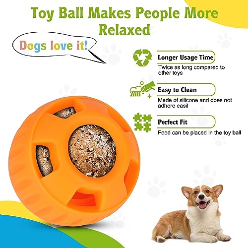 Dog Toys