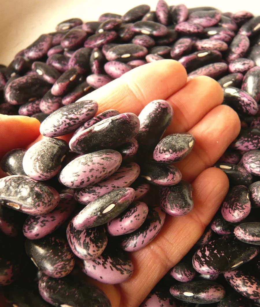 Gaea's Blessing Seeds - Scarlet Runner Bean Seeds - Non-GMO Seeds for Planting with Easy to Follow Instructions 94% Germination Rate