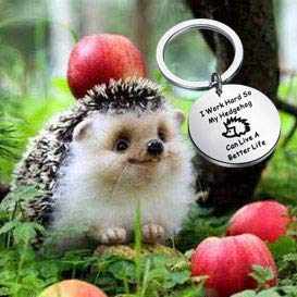 FEELMEM Hedgehog Keychain Hedgehog Lover Gift I Work Hard So My Hedgehog Can Live A Better Life Keychain for Hedgehog Lovers Hog Mom Crazy Hedgehog Lady Gift (silver)