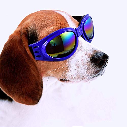 Vedem Dog Sunglasses Eye Wear Protection Pet Goggles Dog Glasses (Blue)