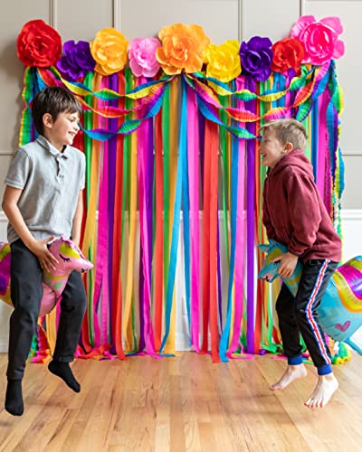 Riles & Bash Fiesta Streamer Backdrop with Crepe Paper Flowers and Ruffled Streamers (Fiesta)