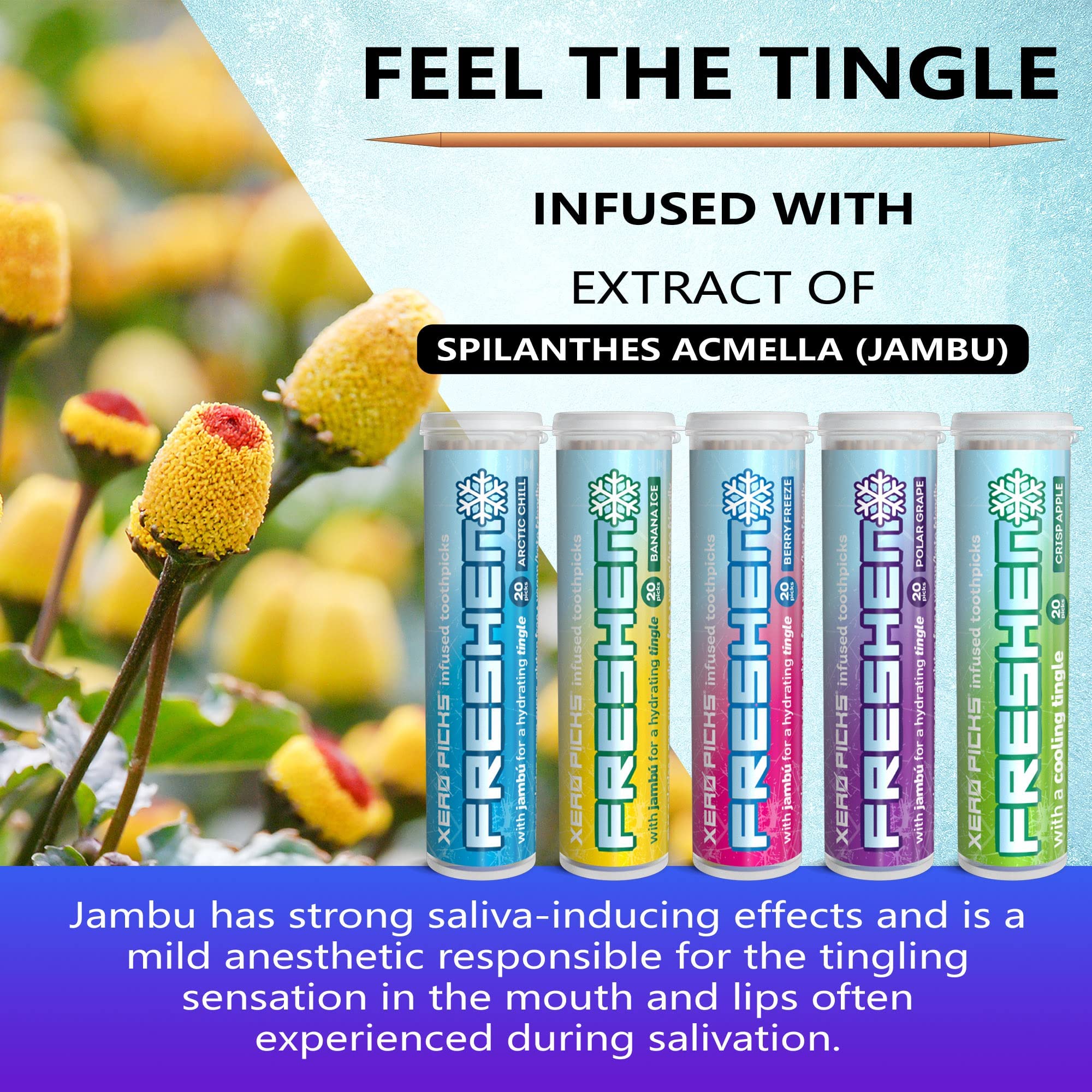 Xero Picks Freshen - Infused Flavored Toothpicks - Cooling Fresh Breath - 100 Picks - 5 Pack - Variety- polar grape, arctic chill, banana ice, berry freeze and crisp apple
