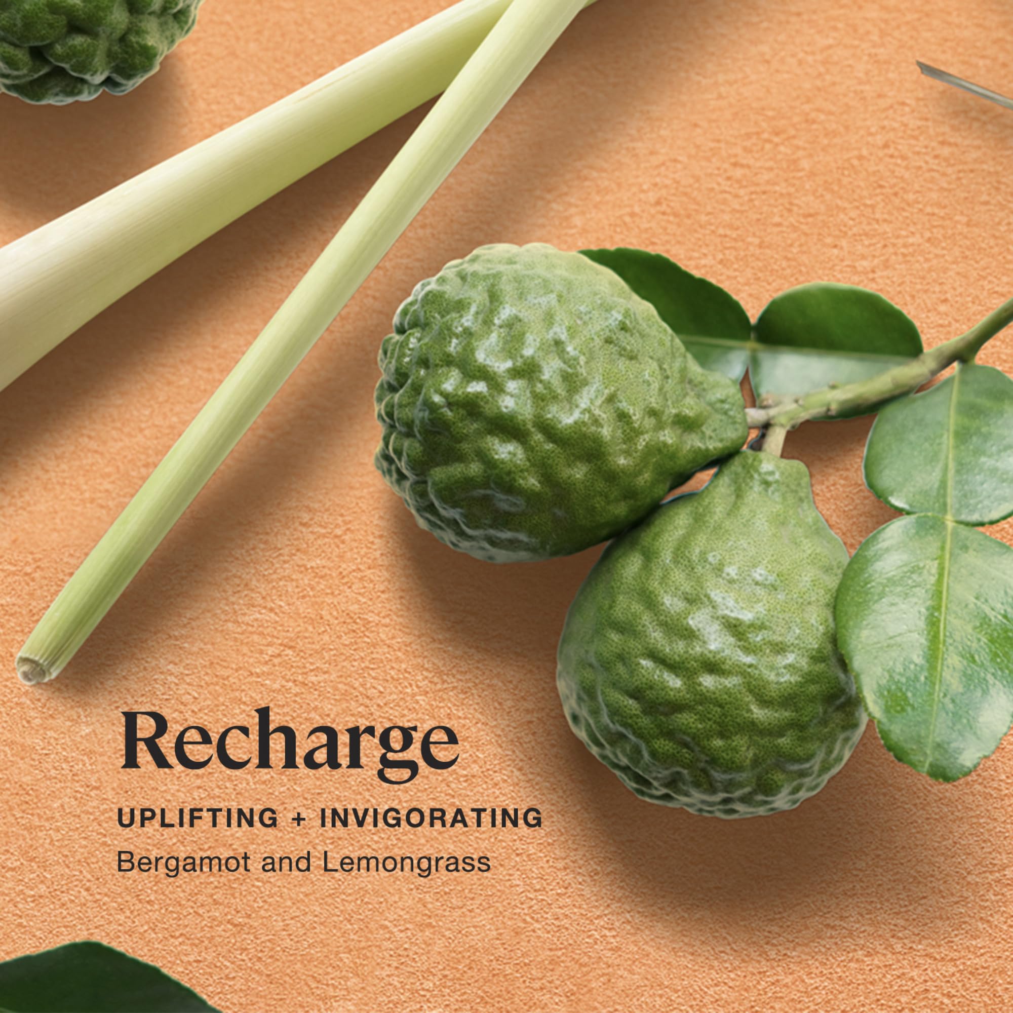 Sprig by Kohler Recharge Aromatherapy Candle with Bergamot and Lemongrass, 100% Natural Soy-Coconut Wax, Uplifting and Invigorating Scent, Gift for Holidays, 8 oz