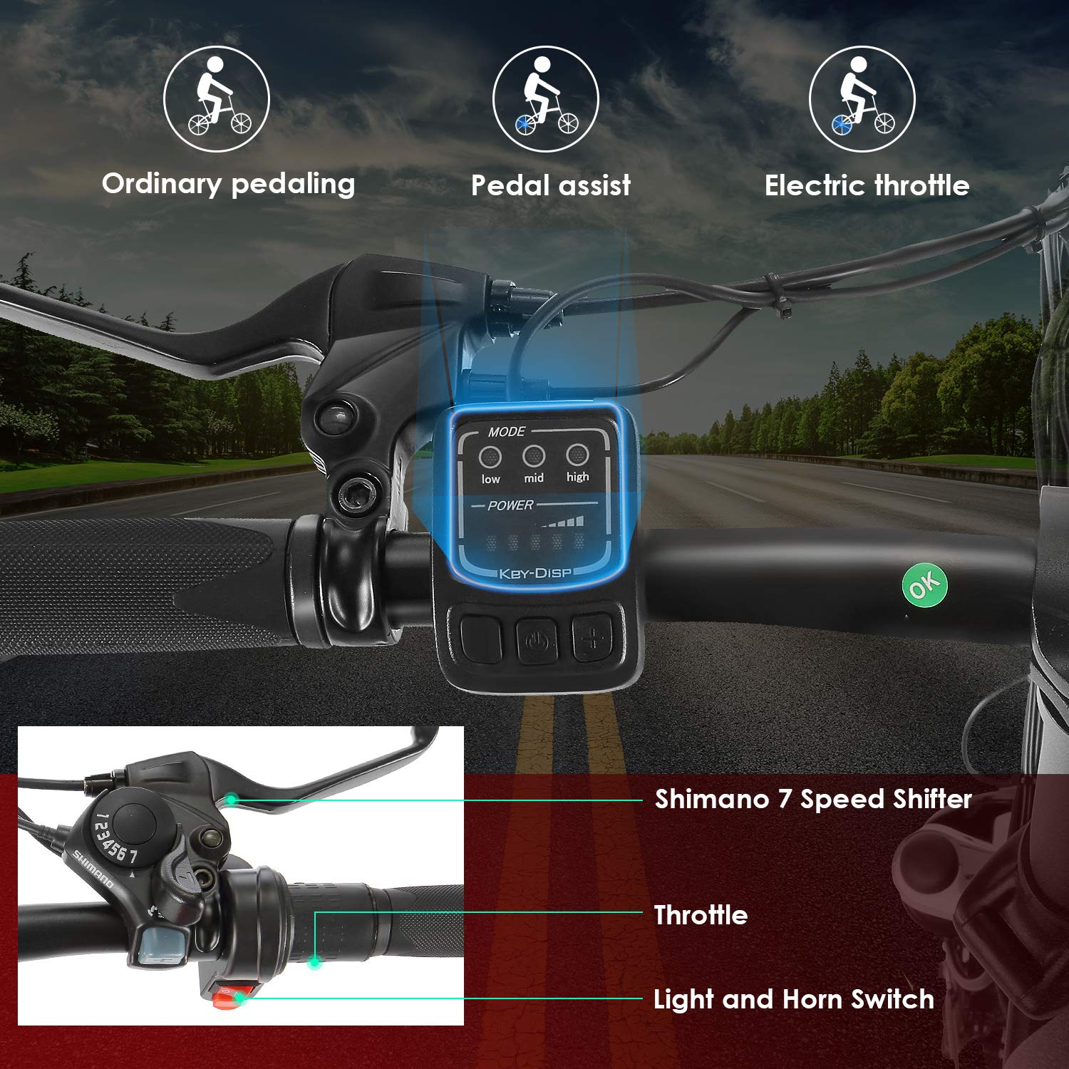 Folding Electric Bike Electric Bicycle, 20'' Ebike with 36V 8Ah Removable Lithium-Ion Battery, Professional 7 Speed Gears, 3 Working Modes