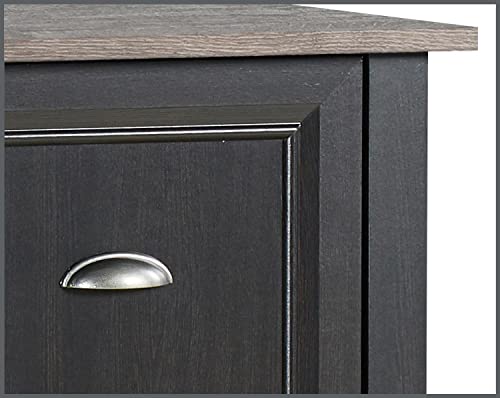Saint Birch Ansel 2-Door Modern Wood Storage Cabinet in Black