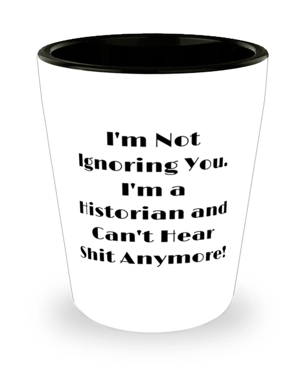 I'm Not Ignoring You. I'm a Historian and Can't Hear Shit Anymore! Historian Shot Glass, Gag Historian, Ceramic Cup For Coworkers