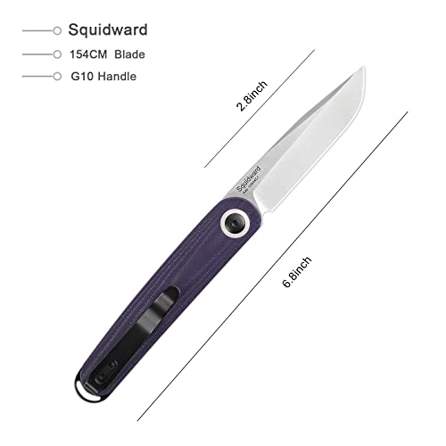 Kizer Squidward Pocket Knife for EDC, 154CM Steel and G10 Handle, Purple Daily Folding Knife, Office Knife, V3604C1