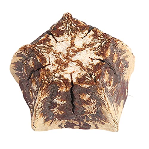 Pssopp Bird Chewing Blocks Toy,Decorative Dried Nut Wood Bird Block Toys Decorative Five Pointed Bird Toy for Bird Supplies Hamsters Totoros Rabbits