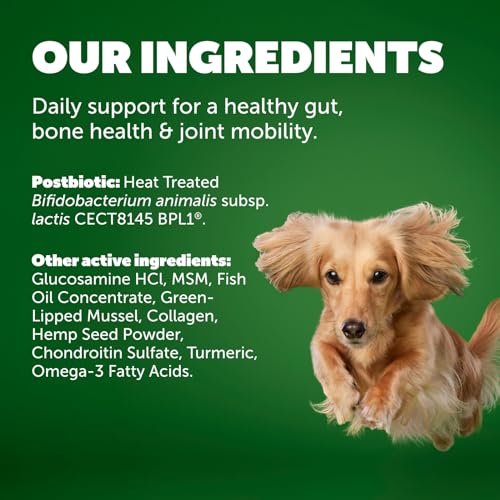 Protexin Daily Care Gut+ Mobility, 60 postbiotic Dog Supplement Chews โ Chicken and Bacon Flavored