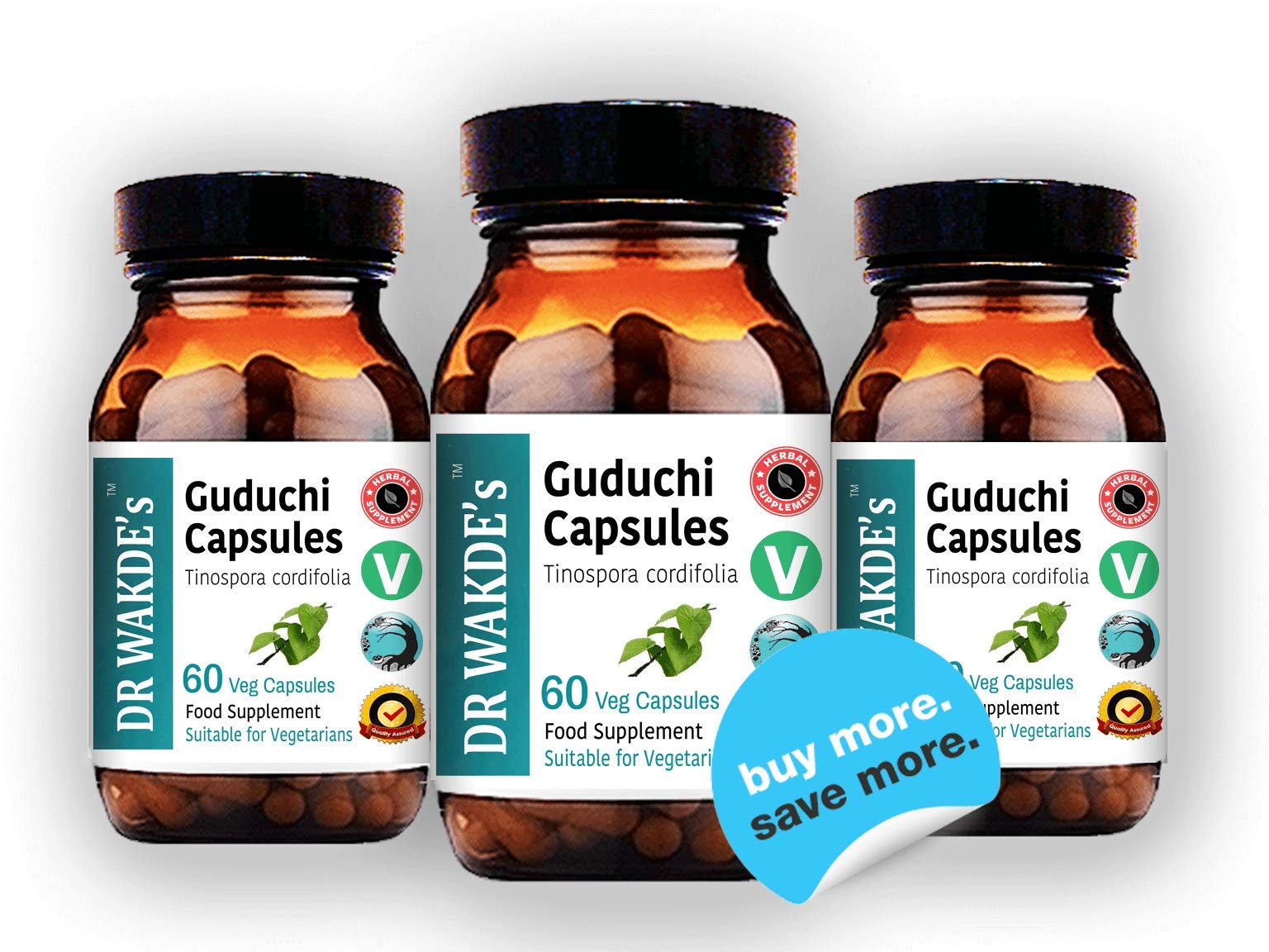 DR WAKDE'S Guduchi Capsules (Tinospora cordifolia, 60 Veg Caps, Plant-Based Supplement, Ayurvedic Herb, All Natural, Vegan)