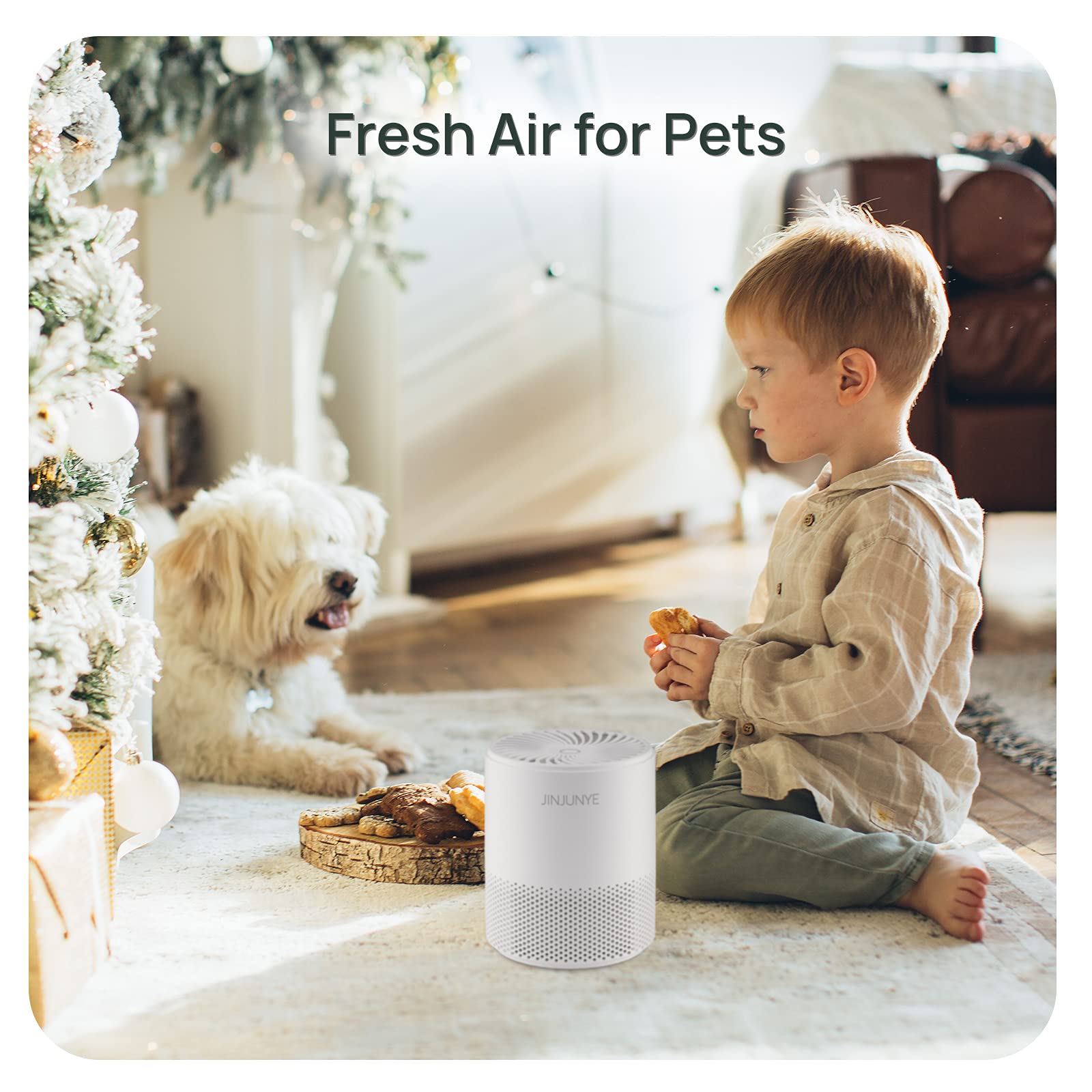 JINJUNYE Mini Air Purifiers for Bedroom, H13 Hepa Small Air Cleaner for Car, Desktop and Home with Night Light.