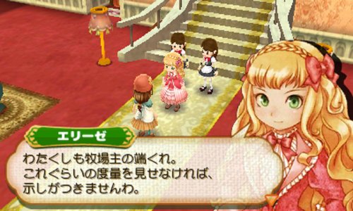 牧場物語 つながる新天地