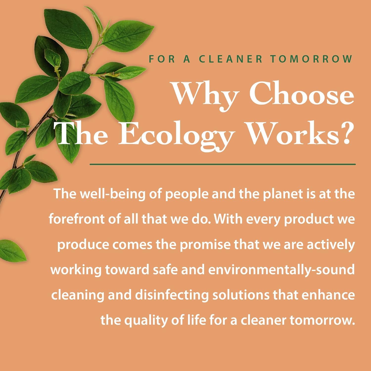 The Ecology Works - Dust Mite and Flea Control Powder (2lb) - Eliminate Dust Mites, Fleas & Reduce Allergies, Gentle Hypoallergenic Formula for Fabric, Furniture, Pet Beds & More