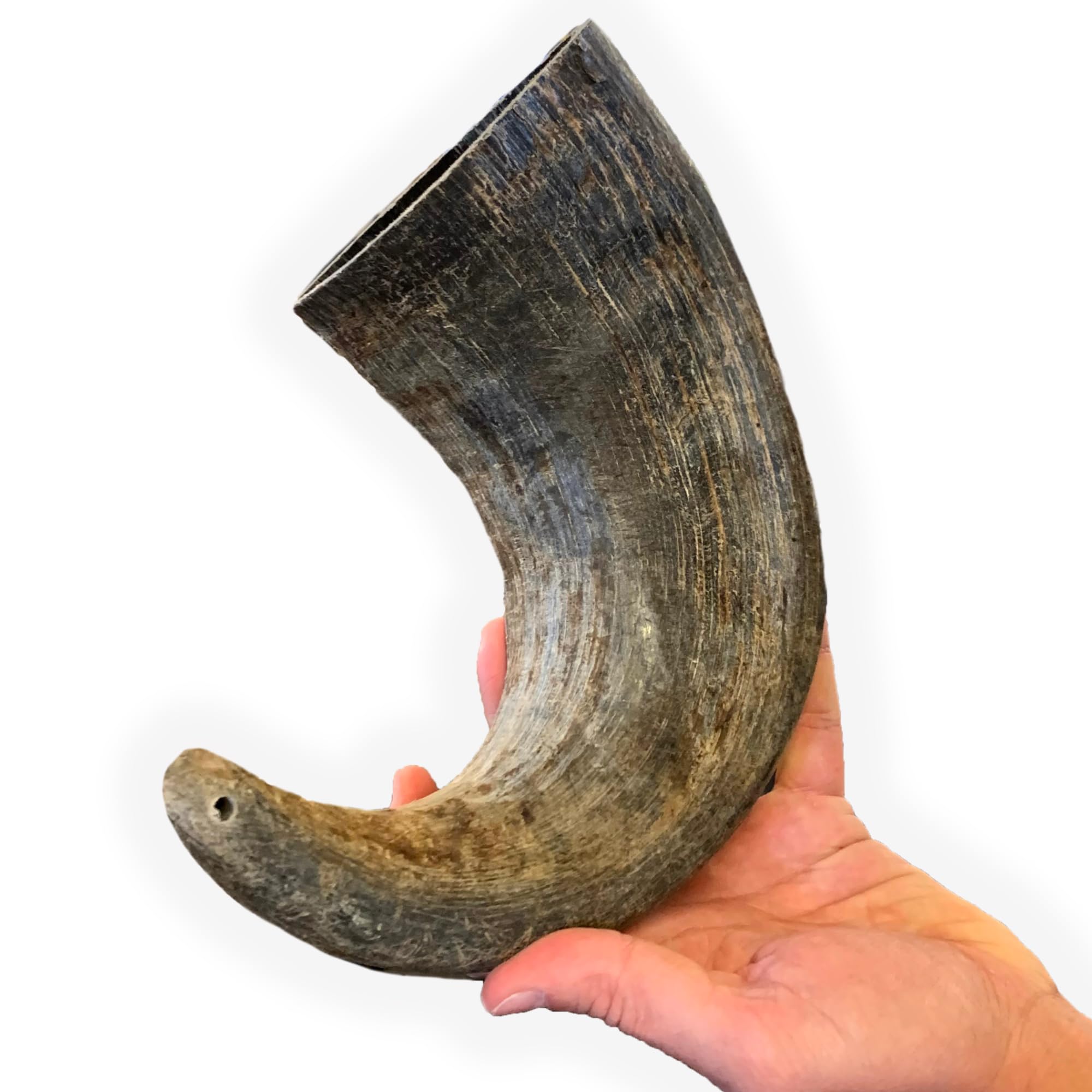 WhiteTail Naturals - Water Buffalo Horns for Dogs (Monster XX-L) All-Natural Dog Bone - Long Lasting Chew Toy for Aggressive Chewers and Teething Puppies