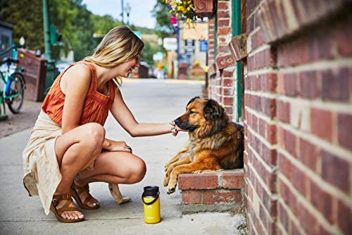 Hydro Flask 12 oz. Coffee Travel Mug - Insulated, Stainless Steel, & Reusable with Wide Flex Sip Lid, Olive
