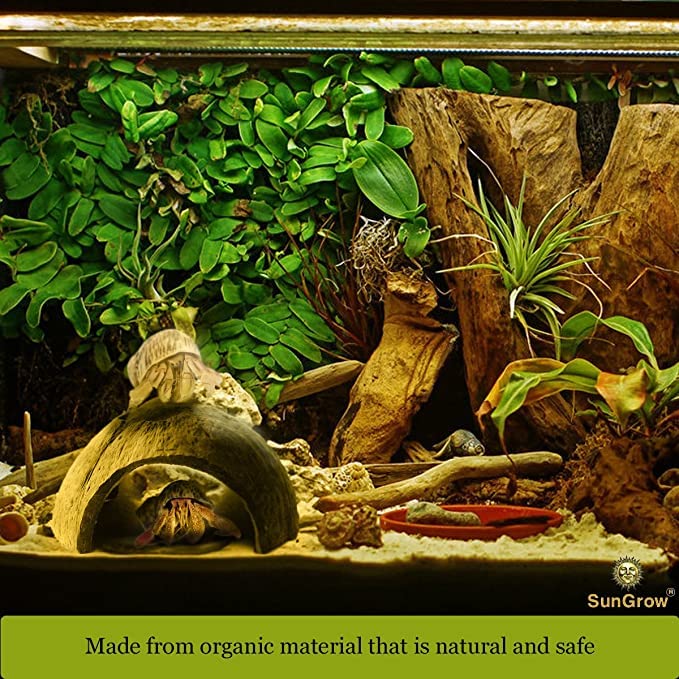 Gluc Hermit Crab Huts, 5x3 Inches, Arthropod's Coconut Hide, Spacious Coco Tunnel, Use as Hermit Cave or Climber, 2-Pcs