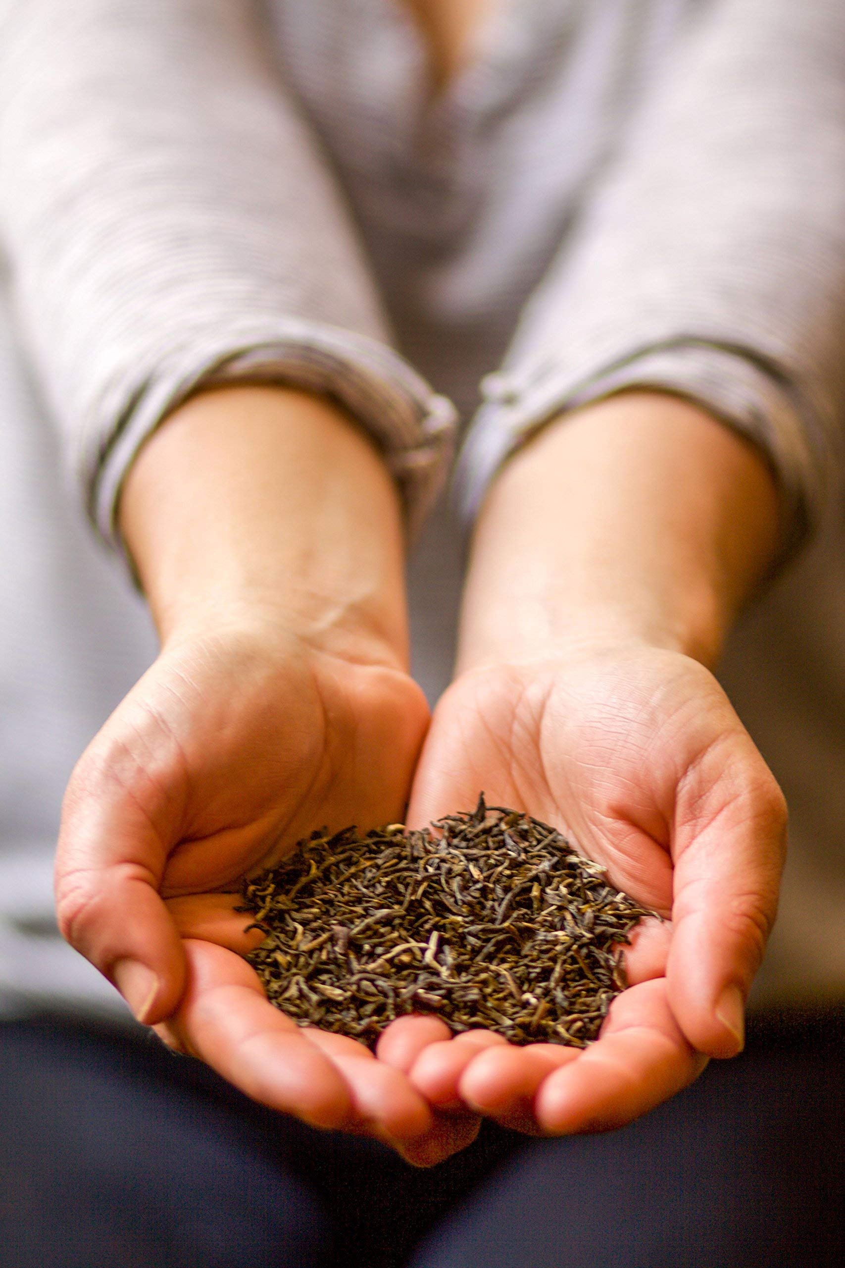 Golden Moon Organic Jasmine (96 Servings) Loose Leaf Tea