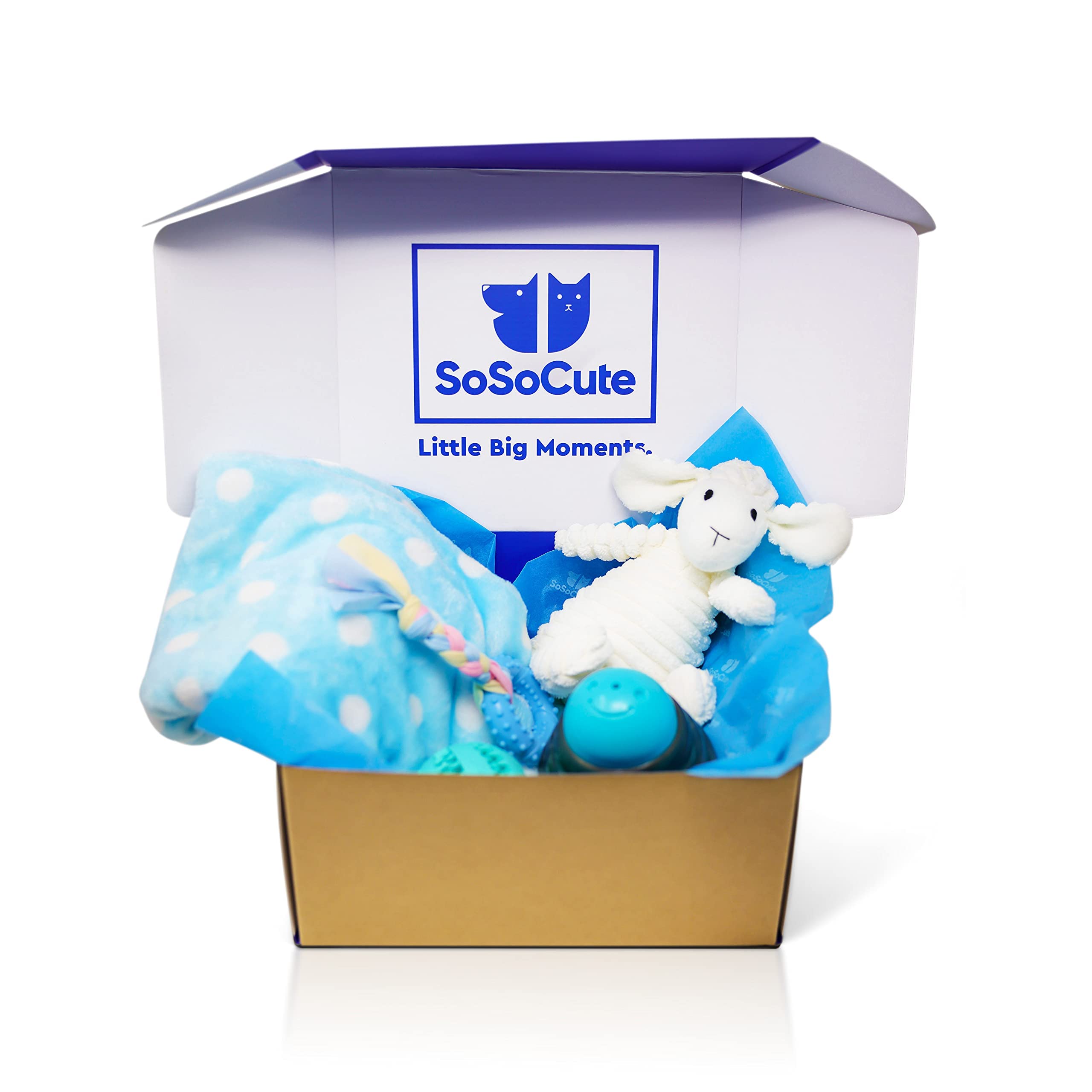 SoSoCute Blue Dog Gift Box - Puppy Chew Toy Set of 5 - Puppy Care Package with Dog Blanket, Squeaky Plush, Rubber Puppy Teether, Teething Ball, and Treat Ball for Small and Medium Dogs