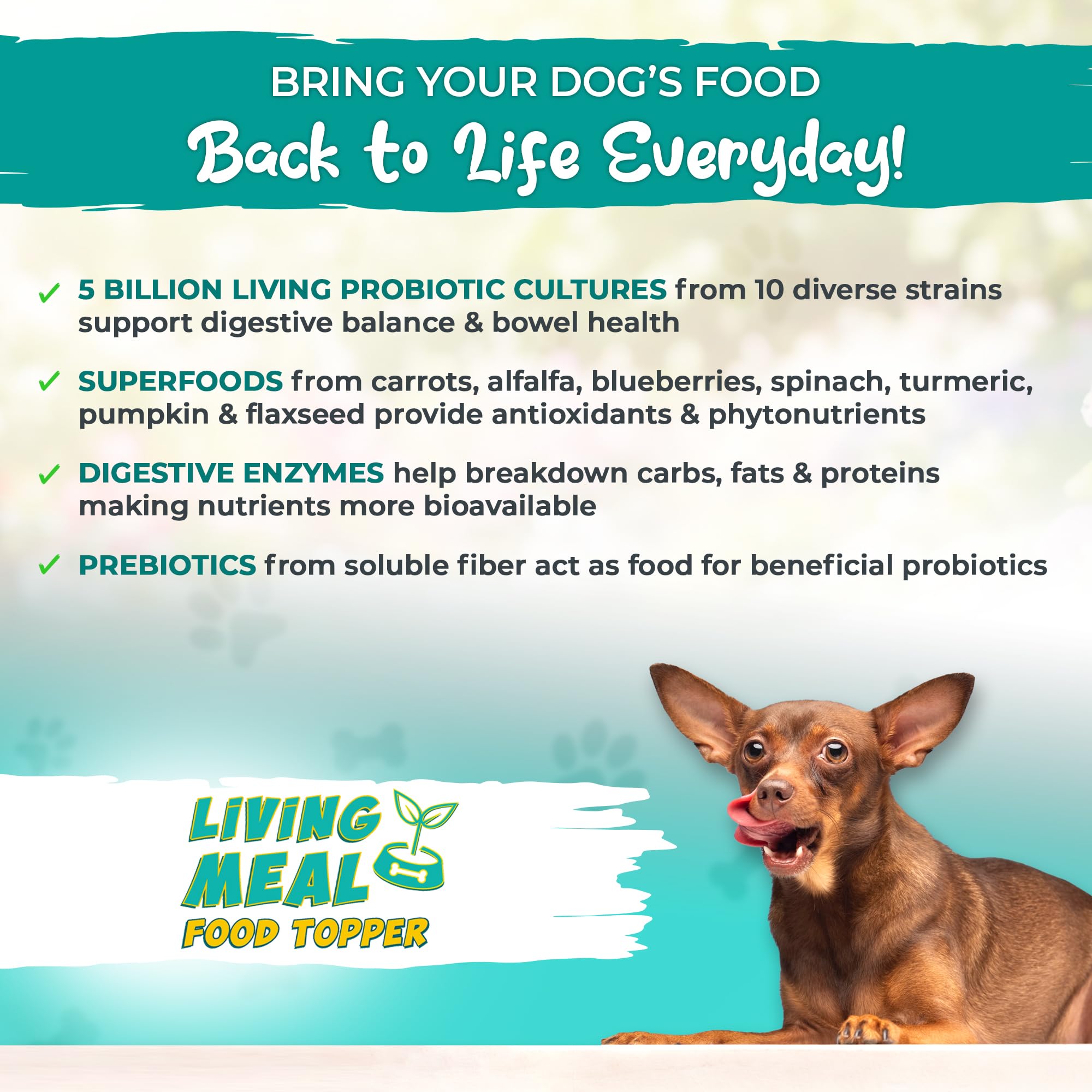 Vital Planet - Pet Living Meal Dog Powder with Enzymes Superfoods and Probiotics 111 g 30 Servings