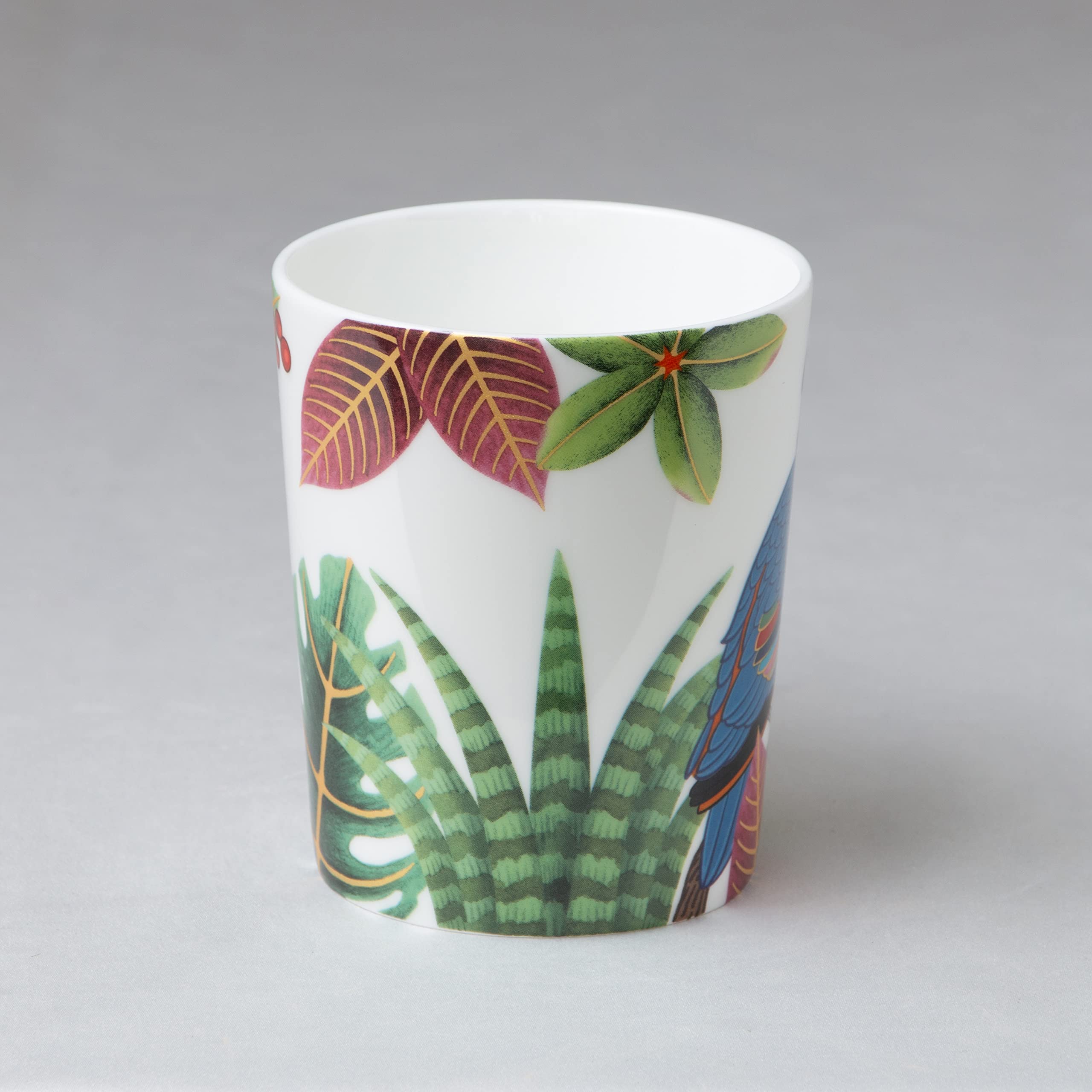 Grace Teaware Bone China Coffee Tea Mugs 12-Ounce, Assorted Set of 4 (Birds of Paradise)