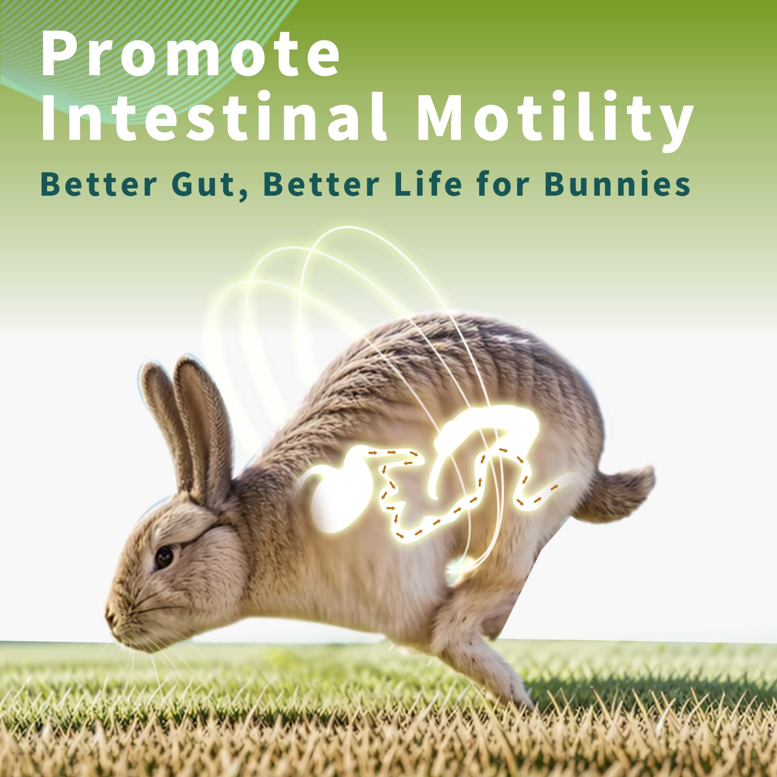 NUTRIARISE Digestive Support Grass-Based Supplement for Rabbit- High Fiber, Probiotics,Prevent GI Stasis, Promote Intestinal Motility and Minimize Intestinal Disease, 36 Tablets.