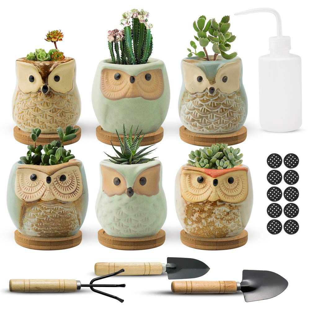 FairyLavie Succulent Pots, 2.5" Owl Planter Owl Pot, Small Pots for Plants Cute Small Planter with Accessories, Great for Home Decor and Ideal Gift, Set of 6