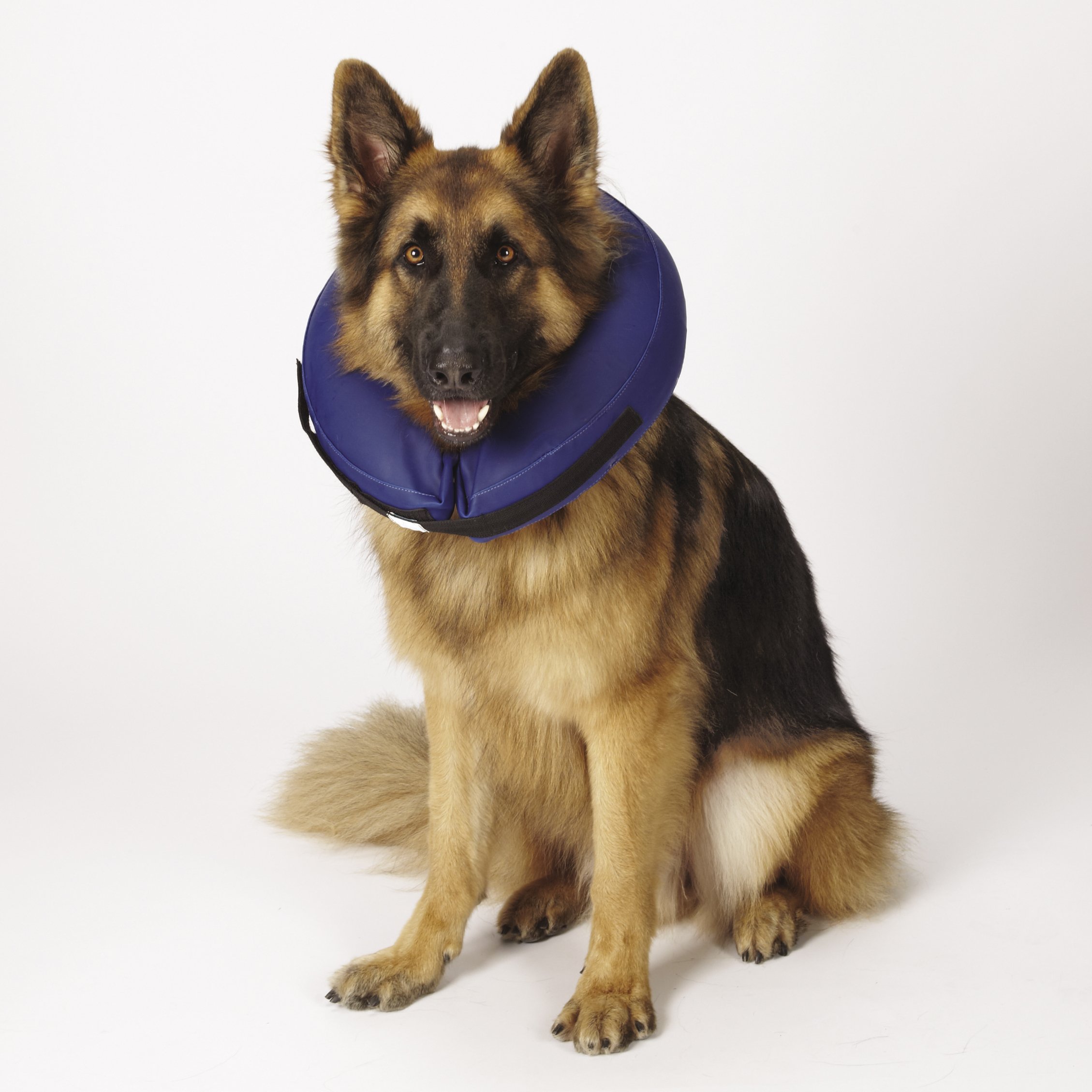 Total Pet Health Inflatable Dog Collars - Veterinarian-Approved Collars Designed to Prevent Pets from Scratching and Biting at Injuries, Stitches, Rashes, and Wounds - Large, Blue