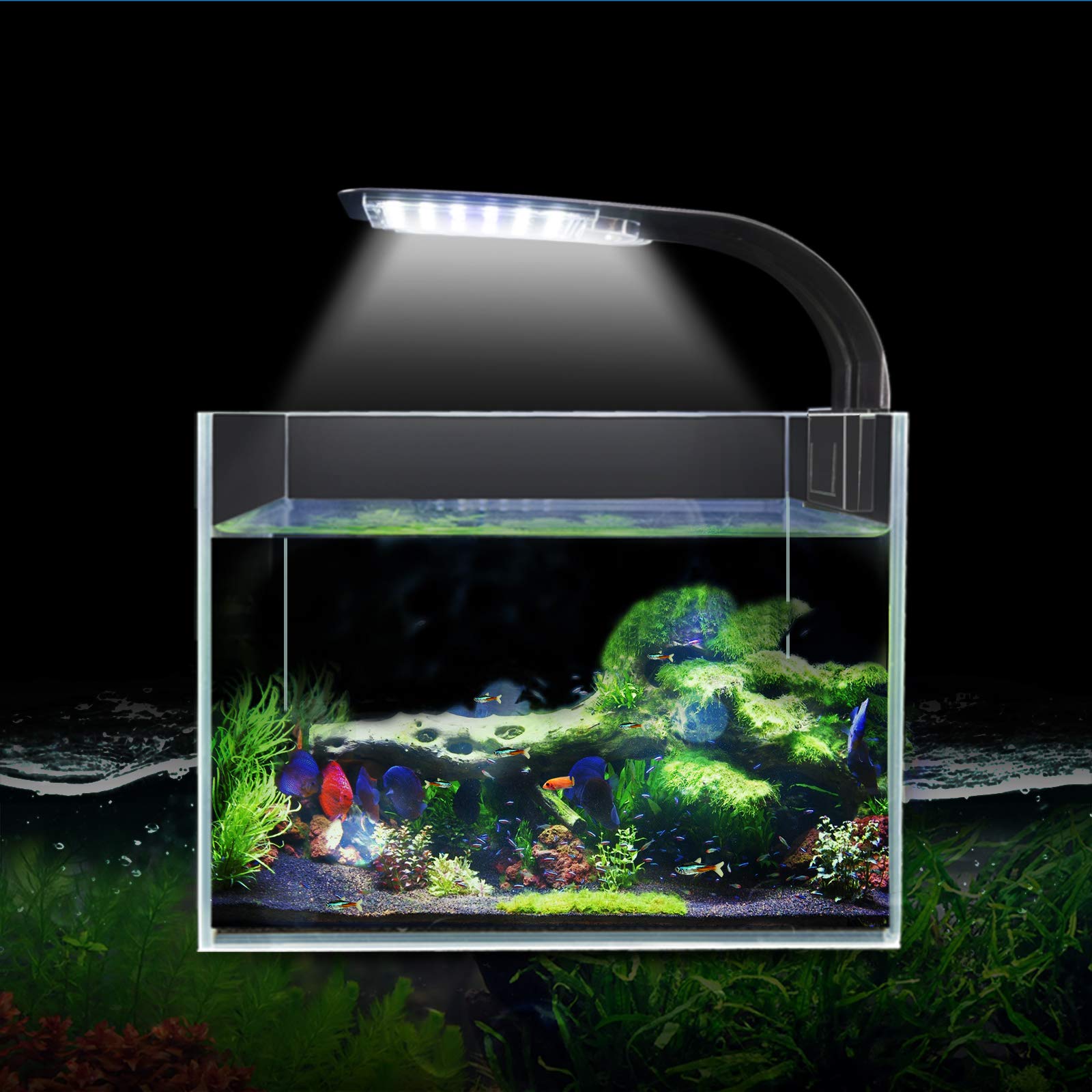 Senzeal X5 Virgo 24 LED Aquarium Light 10W Clip-on Lamp Aquatic Plant Lighting for 10-15inch Fish Tank (Black)