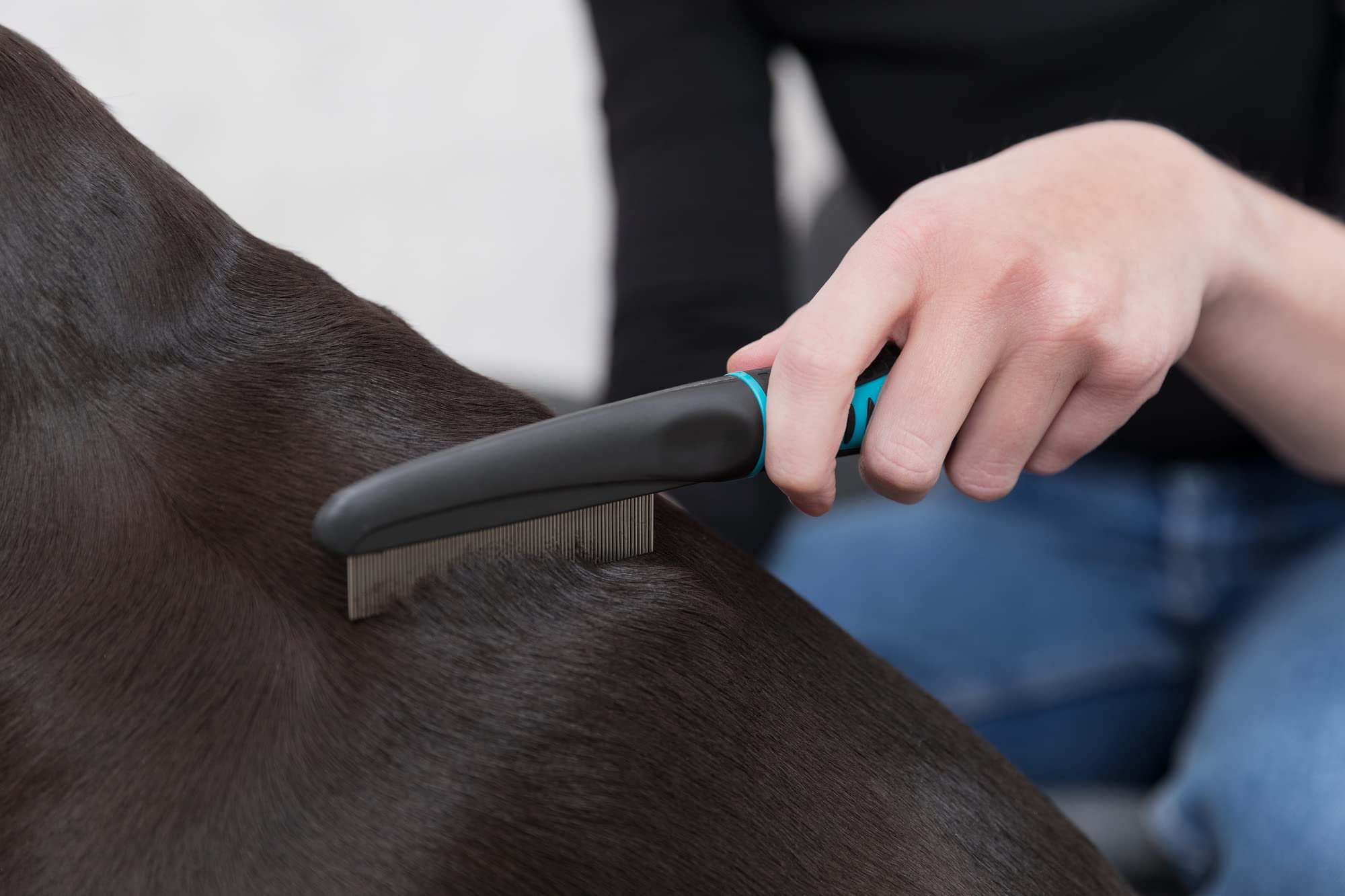 TRIXIE Pet Grooming Flea Comb, For Cats, Dogs, and Small Animals, Removes Fleas, Flea Eggs and Other Debris, 8" (21cm)