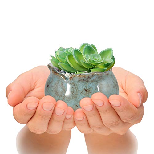 Laerjin Succulent Pots, 4 Inch Ceramic Plant Pots and Drainage Hole with Bamboo Tray, Colorful Flower Planter Pot, Pack of 6 (Plants Not Included)