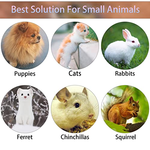 PINVNBY Rabbit Dog Water Bottle No Drip Hanging Chinchilla Water Dispenser Plastic Leak-Proof Bunny Waterer Suspended Small Pet Water Feeder for Ferret Hedgehog Squirrel Kitty Puppy (Pink)