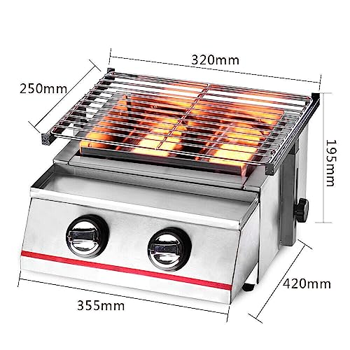 RustyVioum 2 Burner Gas Bbq Grill, Portable Table Top Smokeless Gas Grill, Stainless Steel Portable Grill Cooker for Outdoor Cooking Party Sliver